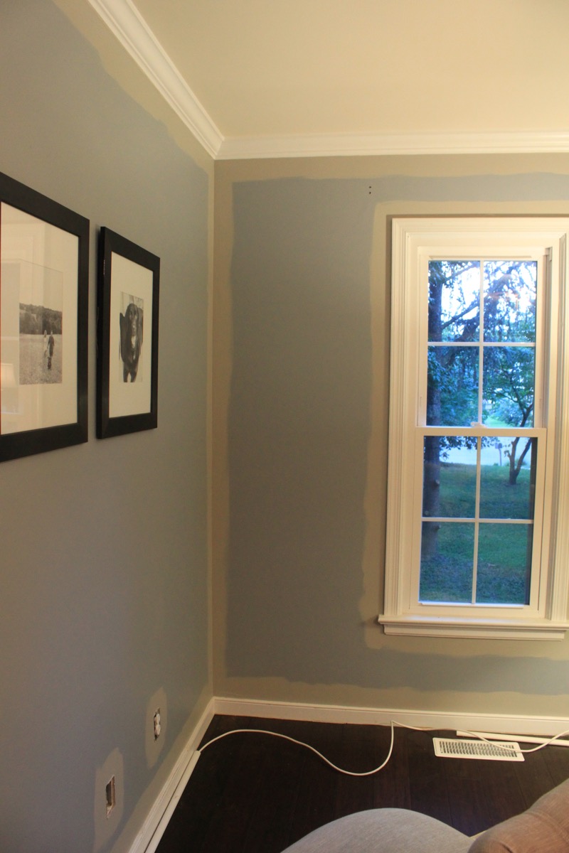 Picking the Perfect Paint: Lessons Learned – An Aspiring Abode